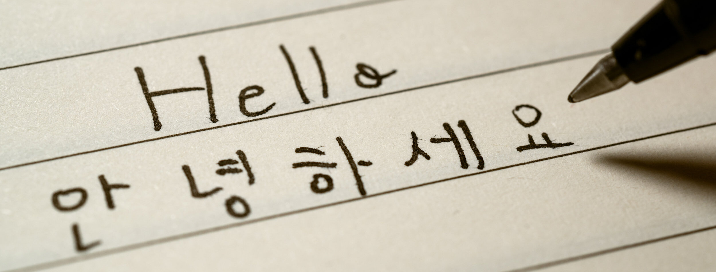 Korean Translation Services The Translations Company